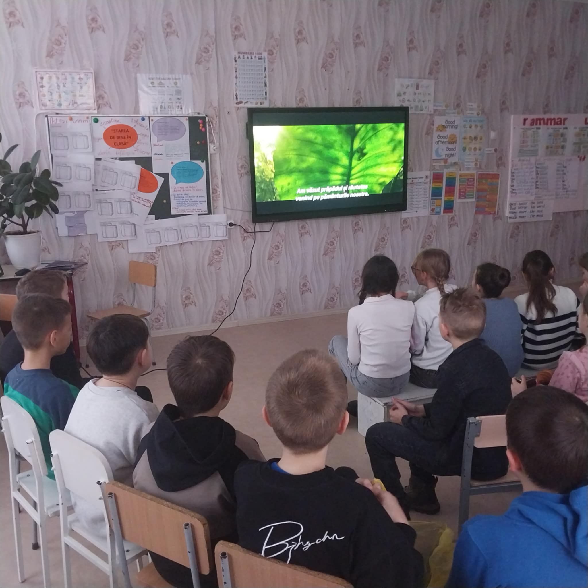 FILME ȘI LECȚII DE VIAȚĂ - Scoala Primara Stefan-Voda